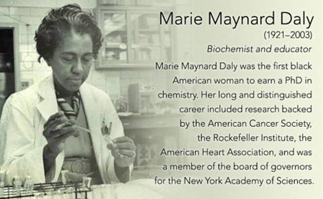 Marie-Maynard-Daly | HDC