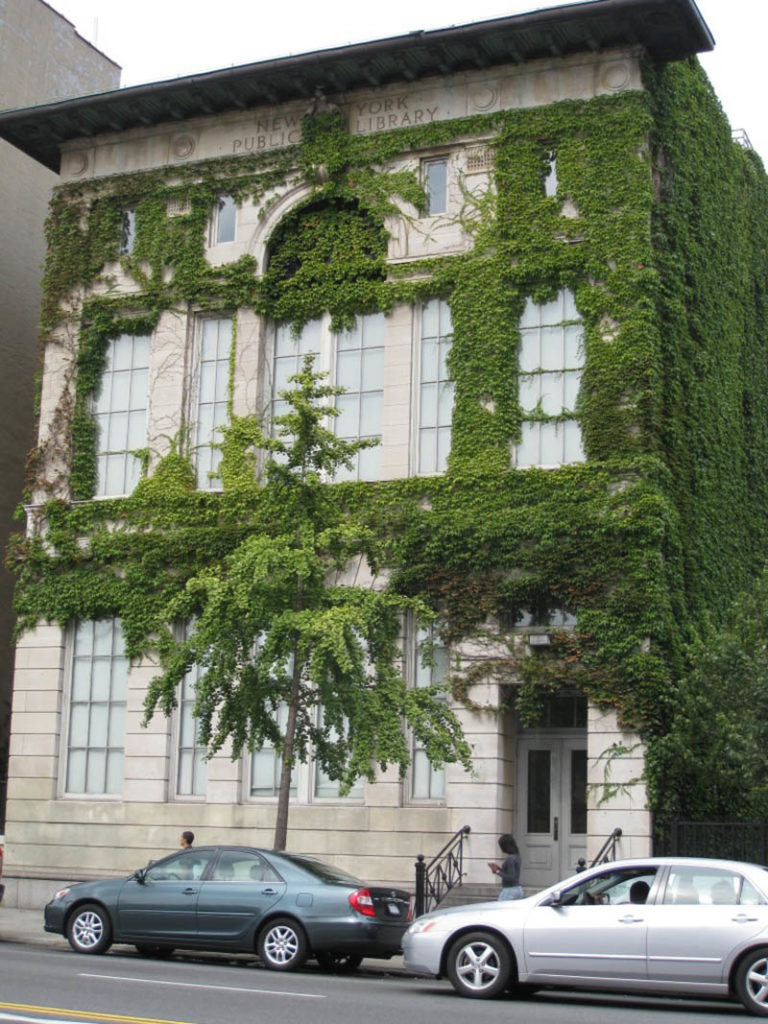 New York Public Library, Schomburg Collection for Research in Black ...