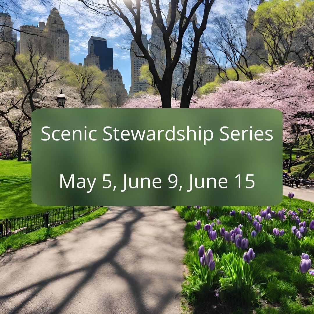 Scenic Stewardship Series | HDC